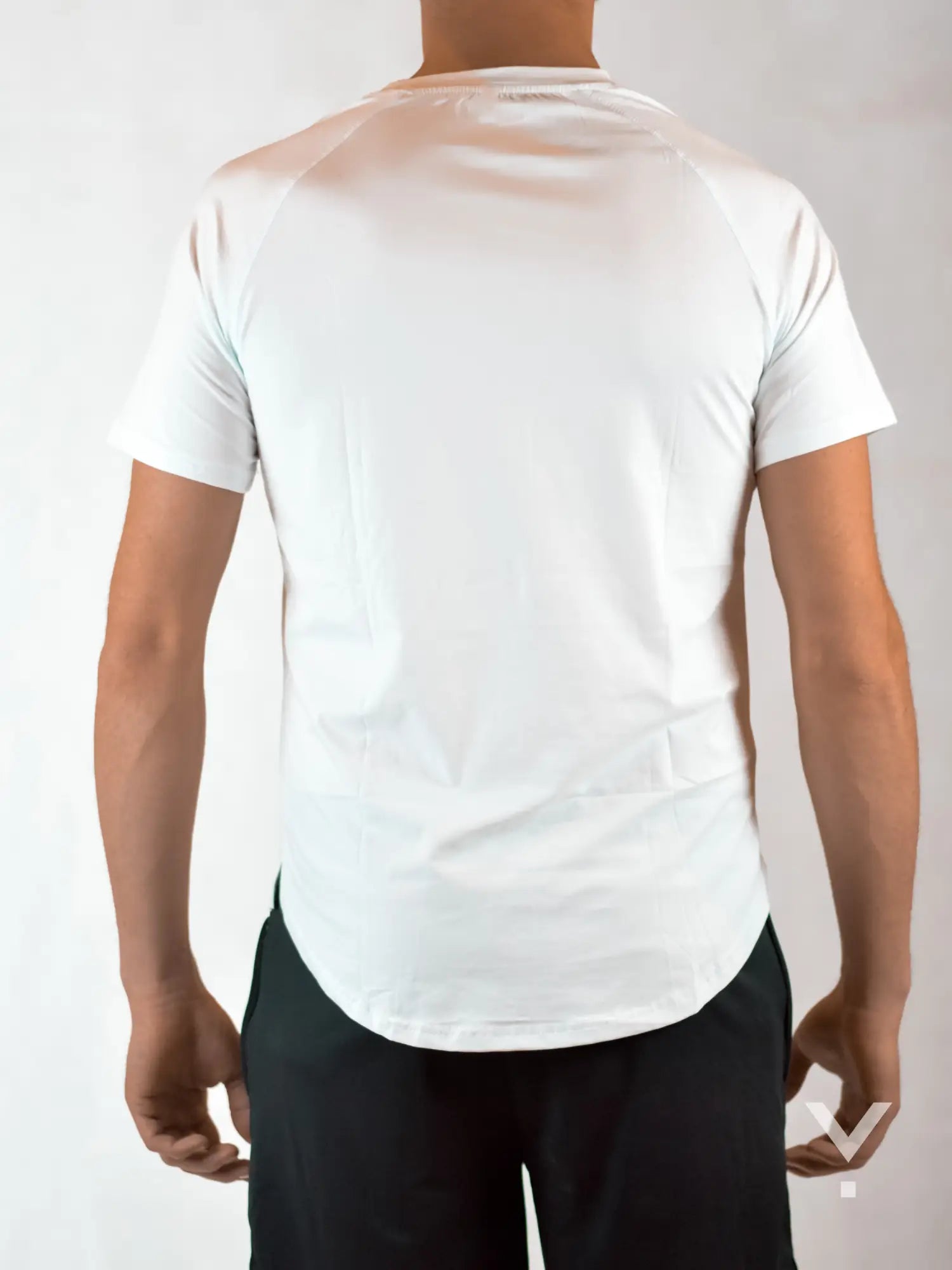 Section Collection – AVAYOS